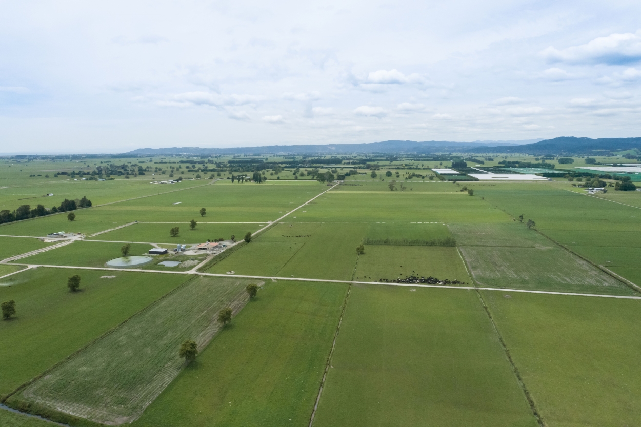 Changing the way we power Aotearoa » Powering Change