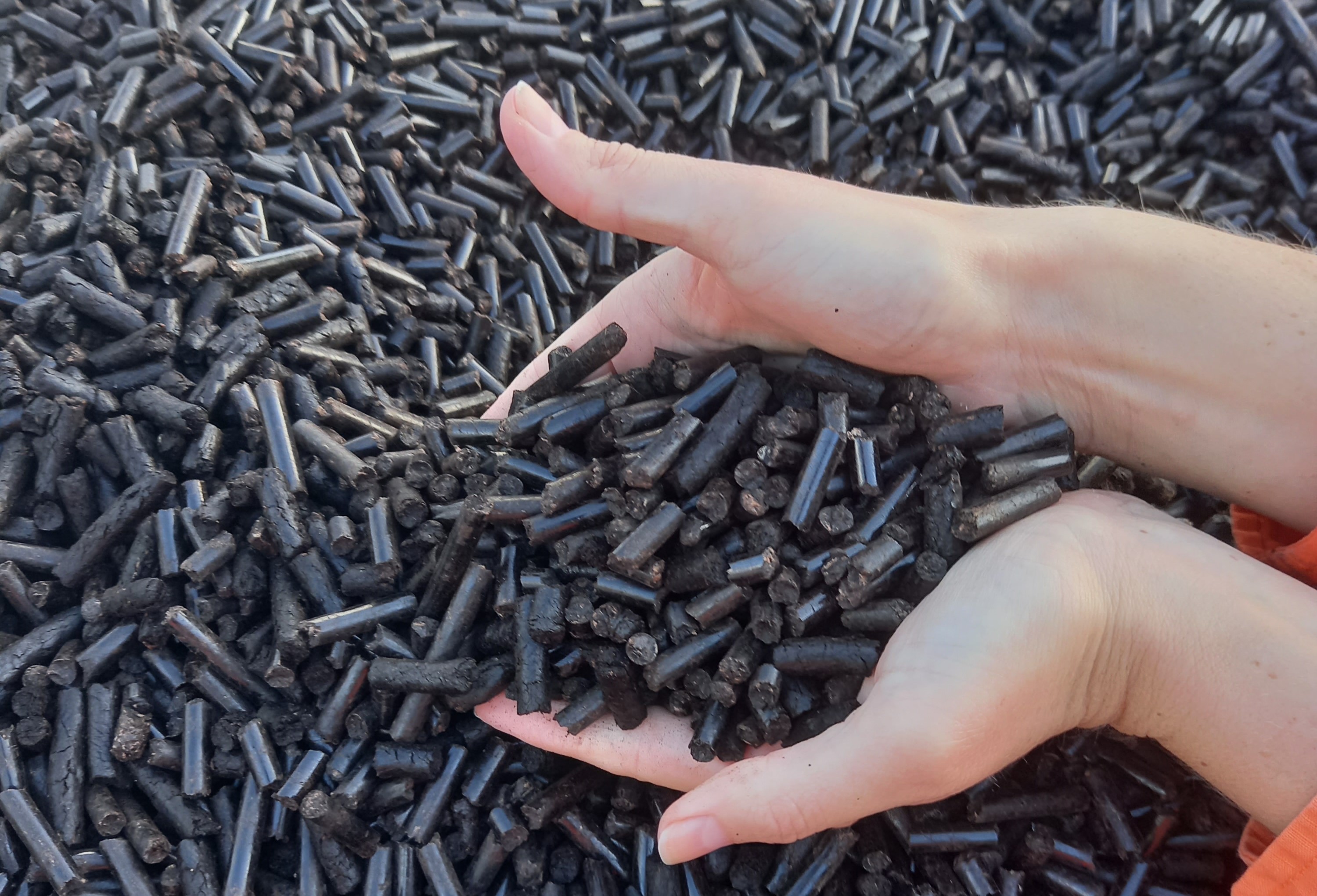 The growing role of biomass to keep our lights on » Powering Change