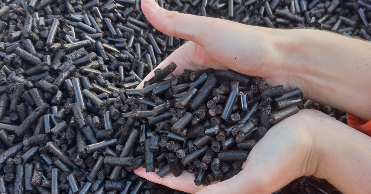 The growing role of biomass to keep our lights on » Powering Change